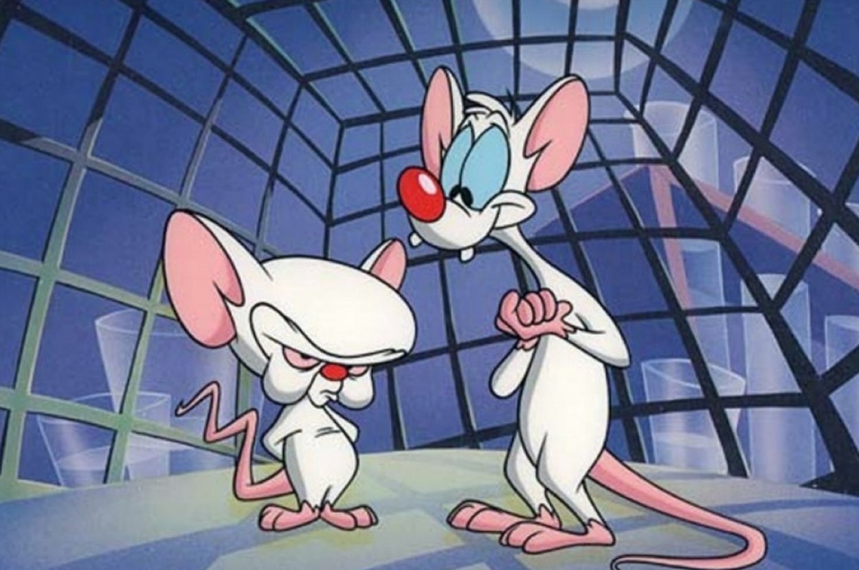The Definitive Ranking Of “Animaniacs” Cartoons, From Worst To Best
