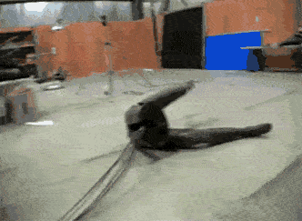 16 Tweets About The Robot Uprising That Will Make You Laugh And Then ...