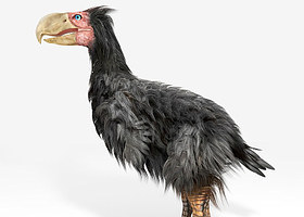 How Much Do You Know About Dinosaurs?