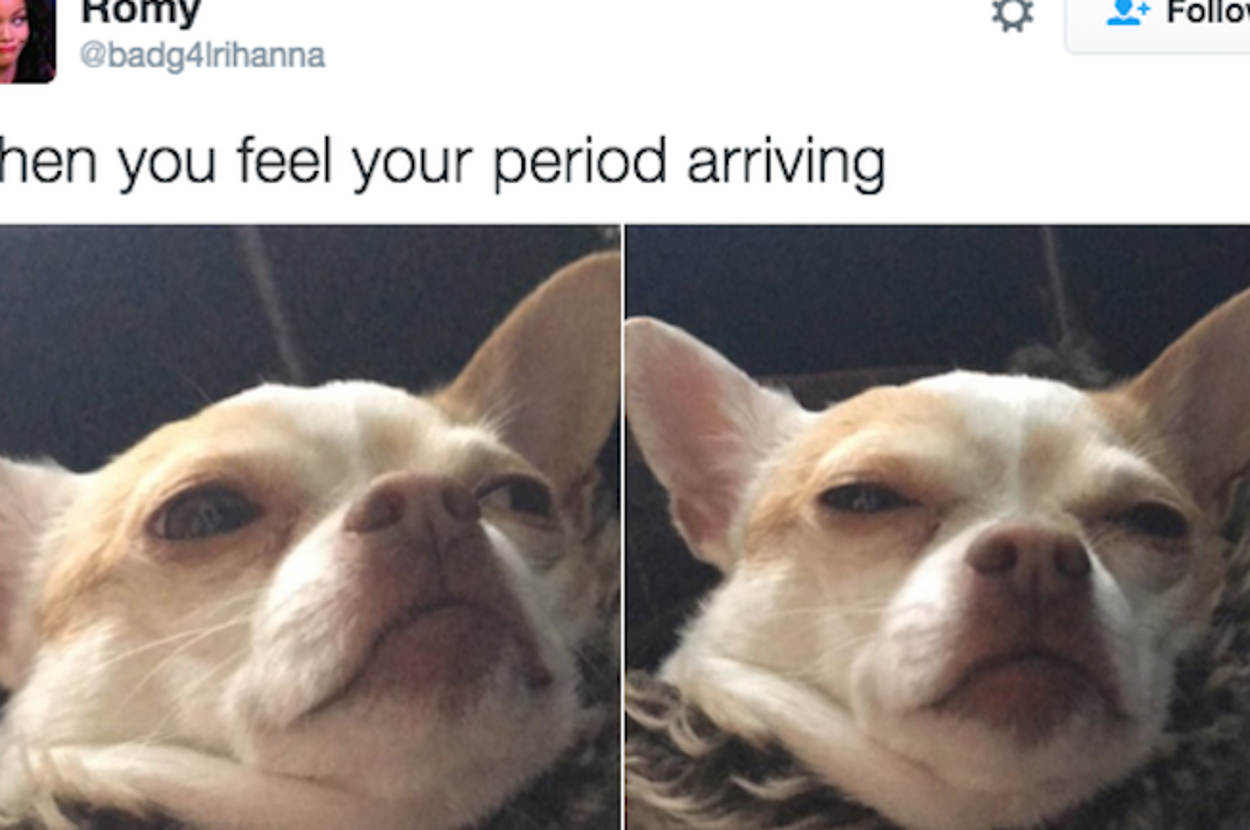23 Photos That Are Basically You On Your Period