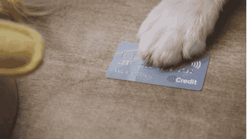 This Dog With Credit Card Debt Is Basically All Of Us