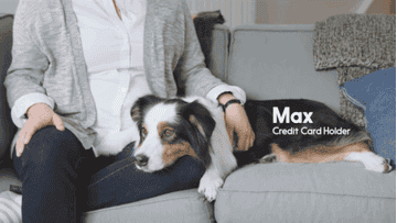 This Dog With Credit Card Debt Is Basically All Of Us