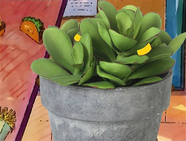 The Cast Of "Arthur" Reimagined As Succulents