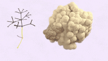 This Way Of Training The Body To Attack Cancers Could Lead To New ...