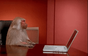 The History Behind Those Viral Baboon GIFs