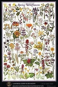 21 Lovely Wildflower Products To Lighten Up Your Life