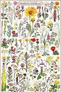 21 Lovely Wildflower Products To Lighten Up Your Life