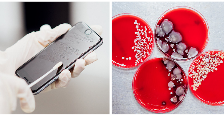 We Tested Our Phones For Germs And Found Some Disgusting Shit