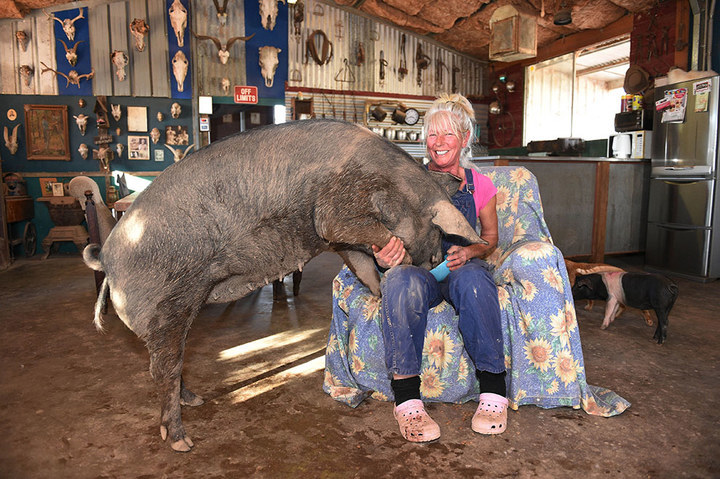This Woman Left Her City Life To Live With 50 Pigs And She Couldn't Be ...