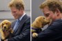 Just A Bunch Of Adorable Pictures Of Prince Harry With Dogs