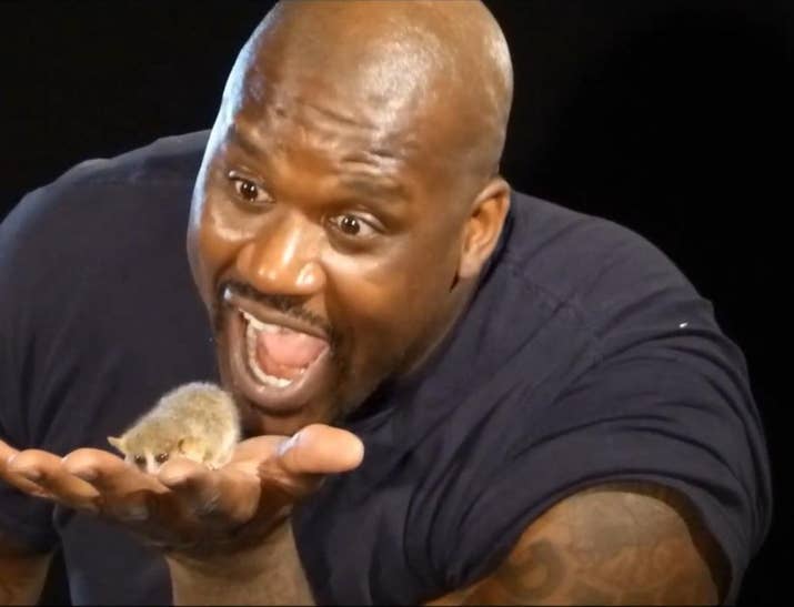 Your Desert Island Small Mouse (G203, Rival 110, etc.) : r/MouseReview