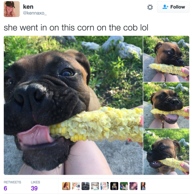 22 Reasons We Were All Born To Corn