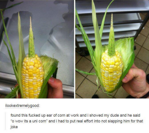 22 Reasons We Were All Born To Corn
