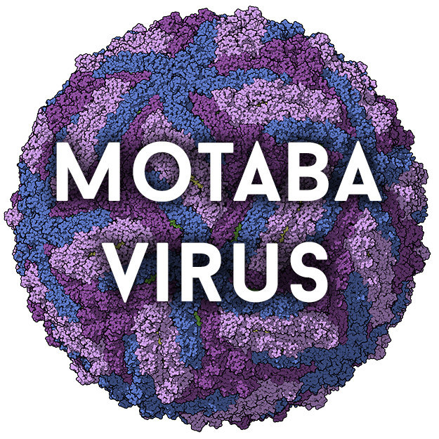 How Well Can You Tell Fake Movie Science From The Real Thing?