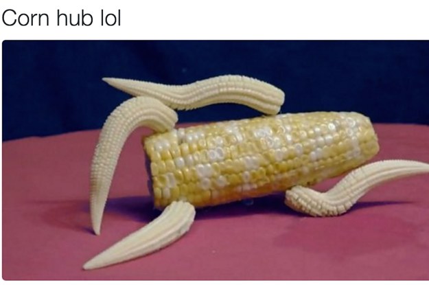 22 Reasons We Were All Born To Corn