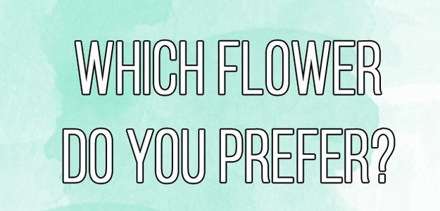 We Know What Your Dream Wedding Dress Looks Like