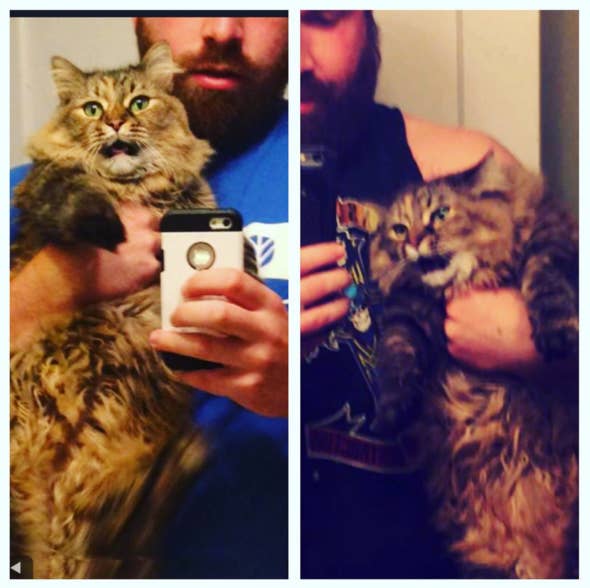 19 Cats Who Are So Done With Humans