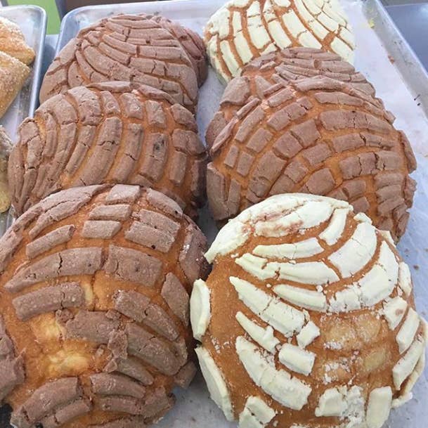 You Haven't Lived Life Until You've Tried Conchas