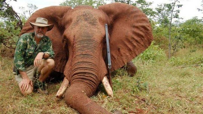 This Politician Ate An Elephant And Says It Was "Delicious"