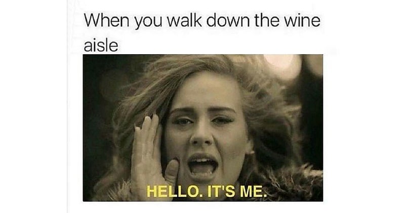 22 Wine Memes That Will Make Wine Lovers Laugh