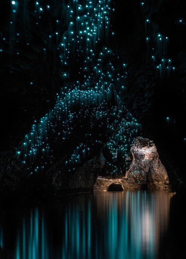 This Glow Worm-Dotted Cave In New Zealand Is Literally "Avatar" IRL