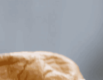 You're Going To Fall In Love With This Insanely Flavorful Cheeseburger