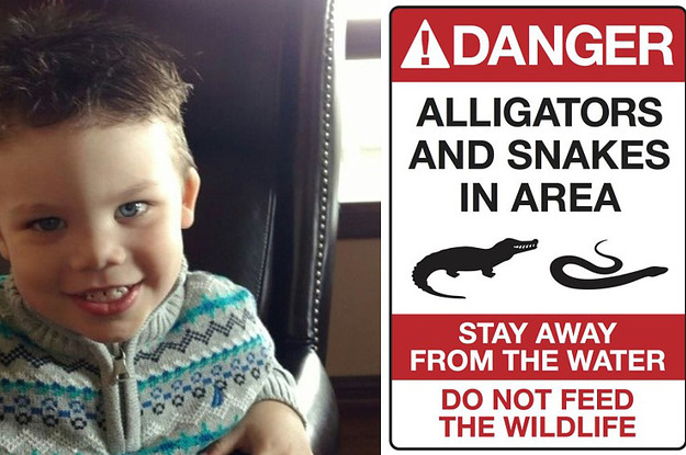 Disney Resort To Add Alligator Warning Signs After Boy's Death