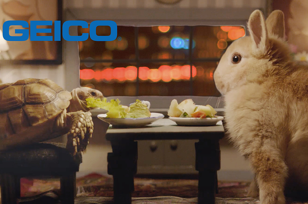 Tiny Animals Present: How To Roommate