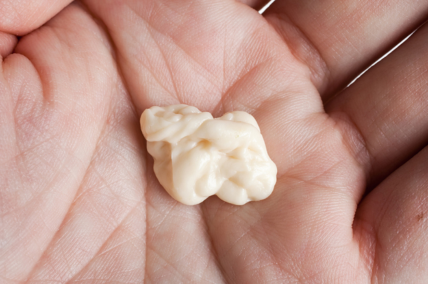 What Actually Happens When You Swallow Gum