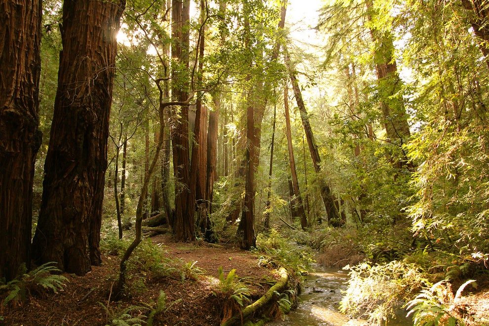 14 Gorgeous Places In The U.S. To Reconnect With Nature