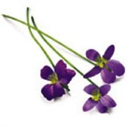 What Alpha Delta Pi Founder Are You?