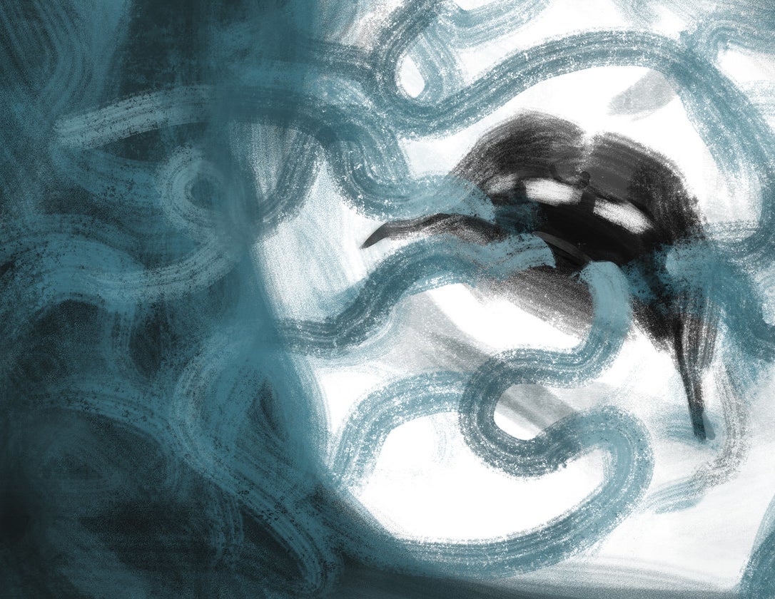 Poem: "The Five Stages Of Drowning" By Patricia Smith