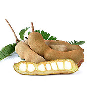 There's No Way You've Eaten All The Fruit On This Checklist