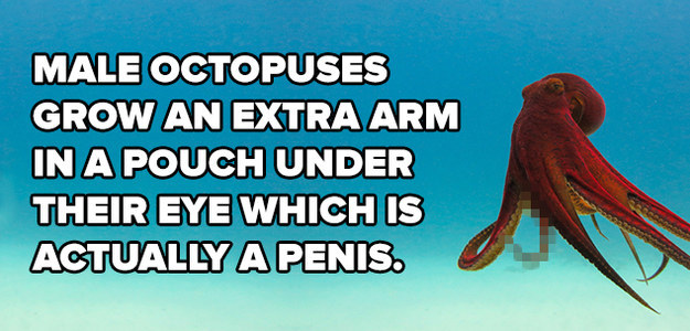 The Hardest General Knowledge True/False Quiz You’ll Ever Take