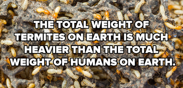 The Hardest General Knowledge True/False Quiz You’ll Ever Take