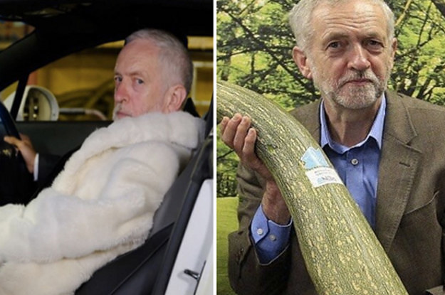 21 Times Jeremy Corbyn's Face Perfectly Summed Up Your Life - BuzzFeed News