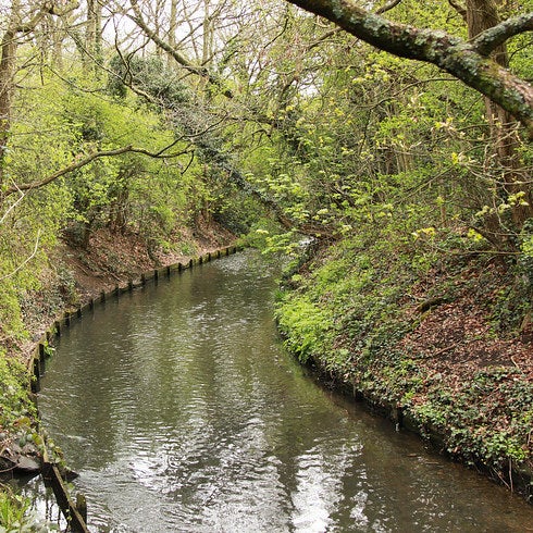 16 Stunning Green Spaces In London