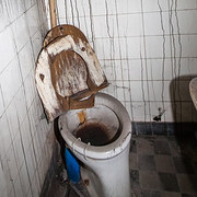 Find Out Which Piece Of Shit You Are Among Your Friends