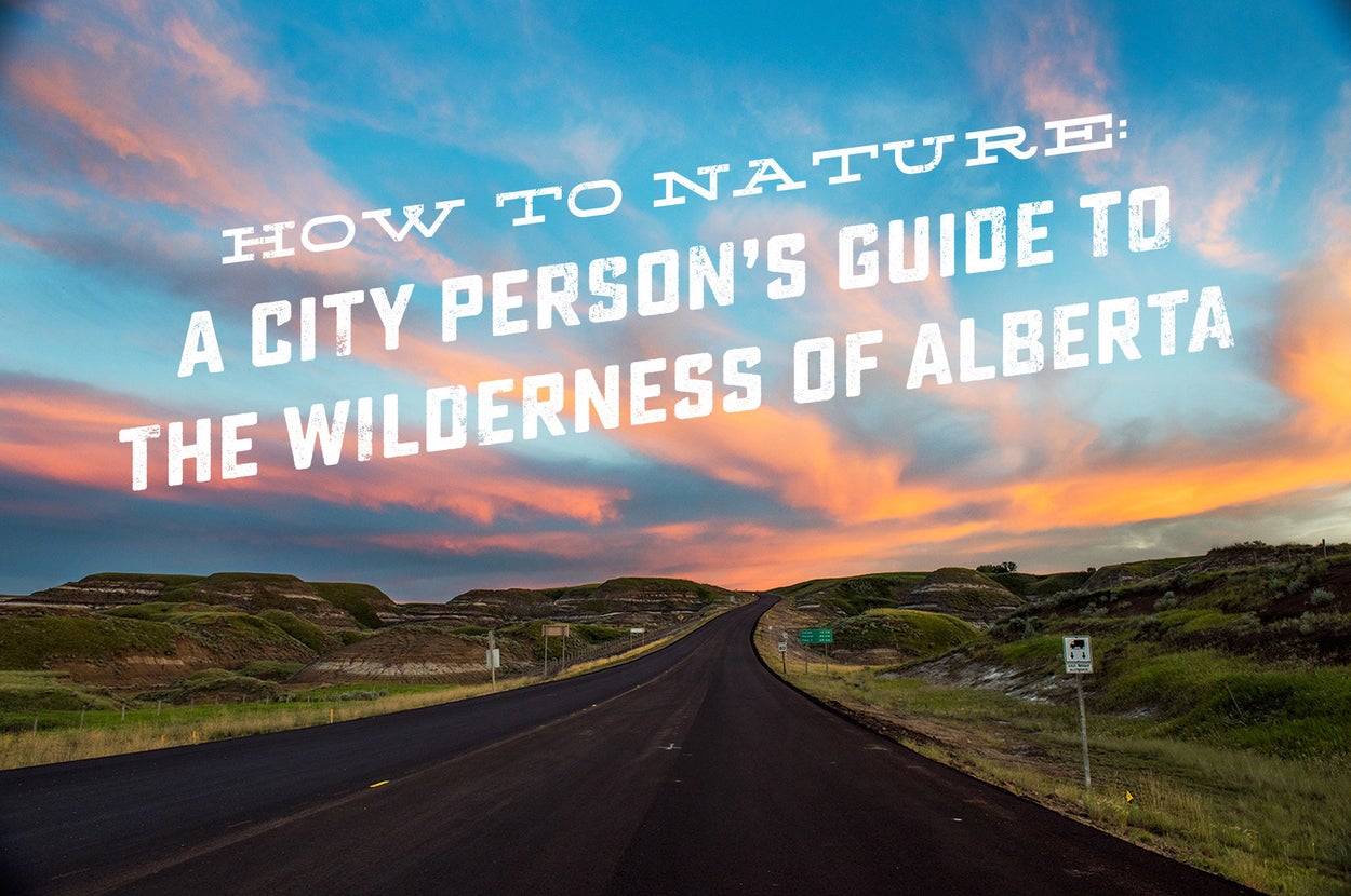 How To Nature: A City Person's Guide To The Wilderness Of Alberta
