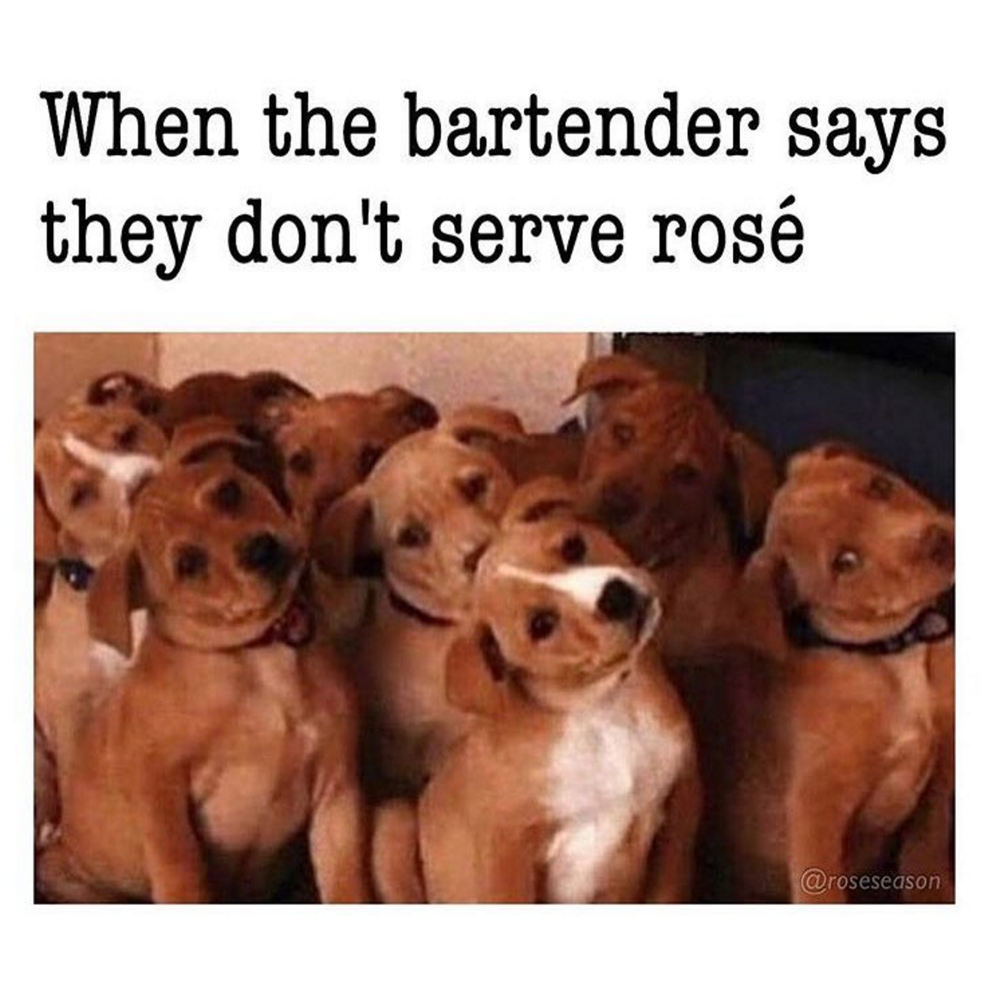 21 Boozy Memes That Were Literally Written About You