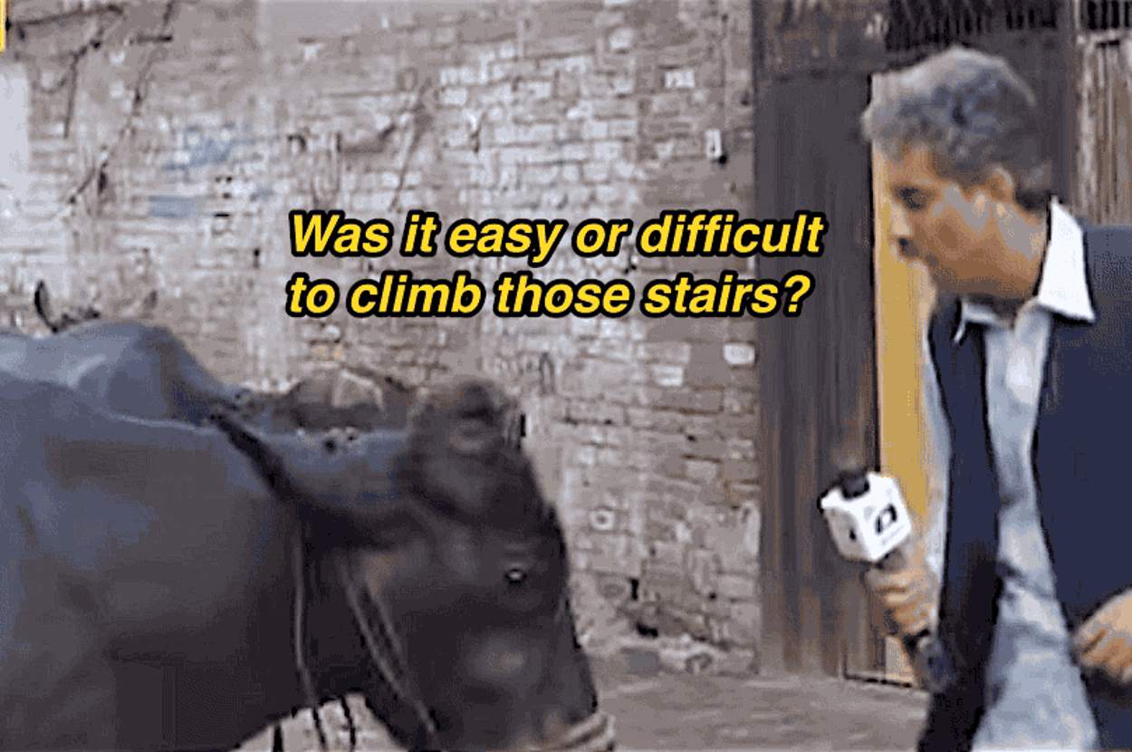 Every Journalist Should Take Notes From This Pakistani Journalist ...
