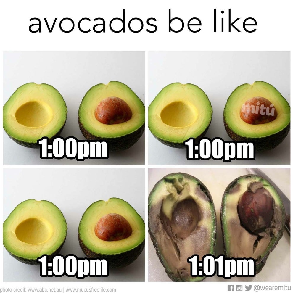17 Photos Only People Deeply Obsessed With Avocado Will Understand