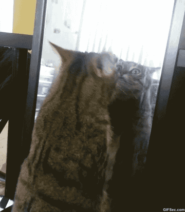 11 Frantic GIFs That Are So You Before A First Date