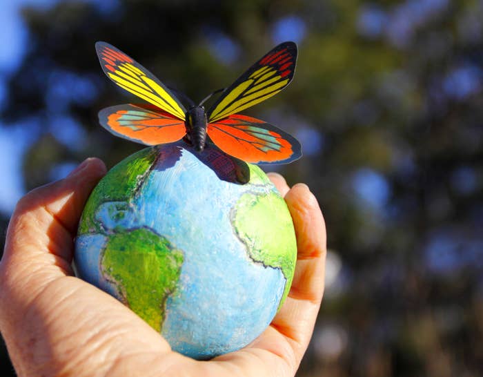 10 Things That Are More Harmful For The Environment Than You Think