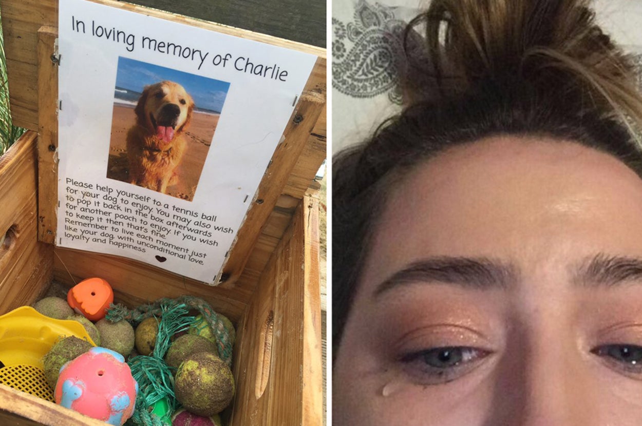 People Are Crying Over This Adorably Sweet “In Loving Memory” Tribute ...