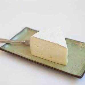 Is This A Scientific Animal Name Or Fancy Cheese?