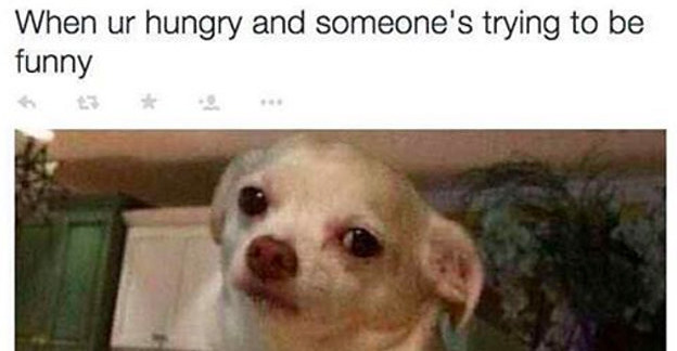 19 Things You'll Recognize If You're Always Hungry