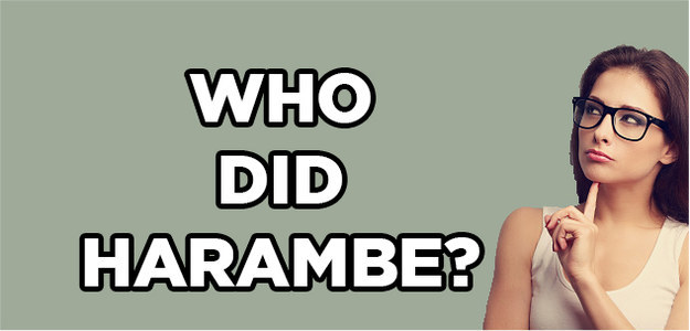 What Level Harambe Are You?