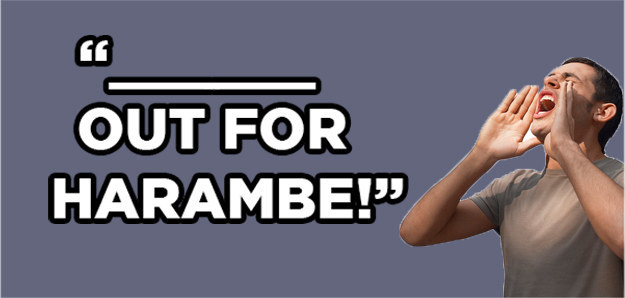 What Level Harambe Are You?