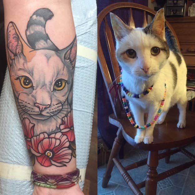 pets get tattoos